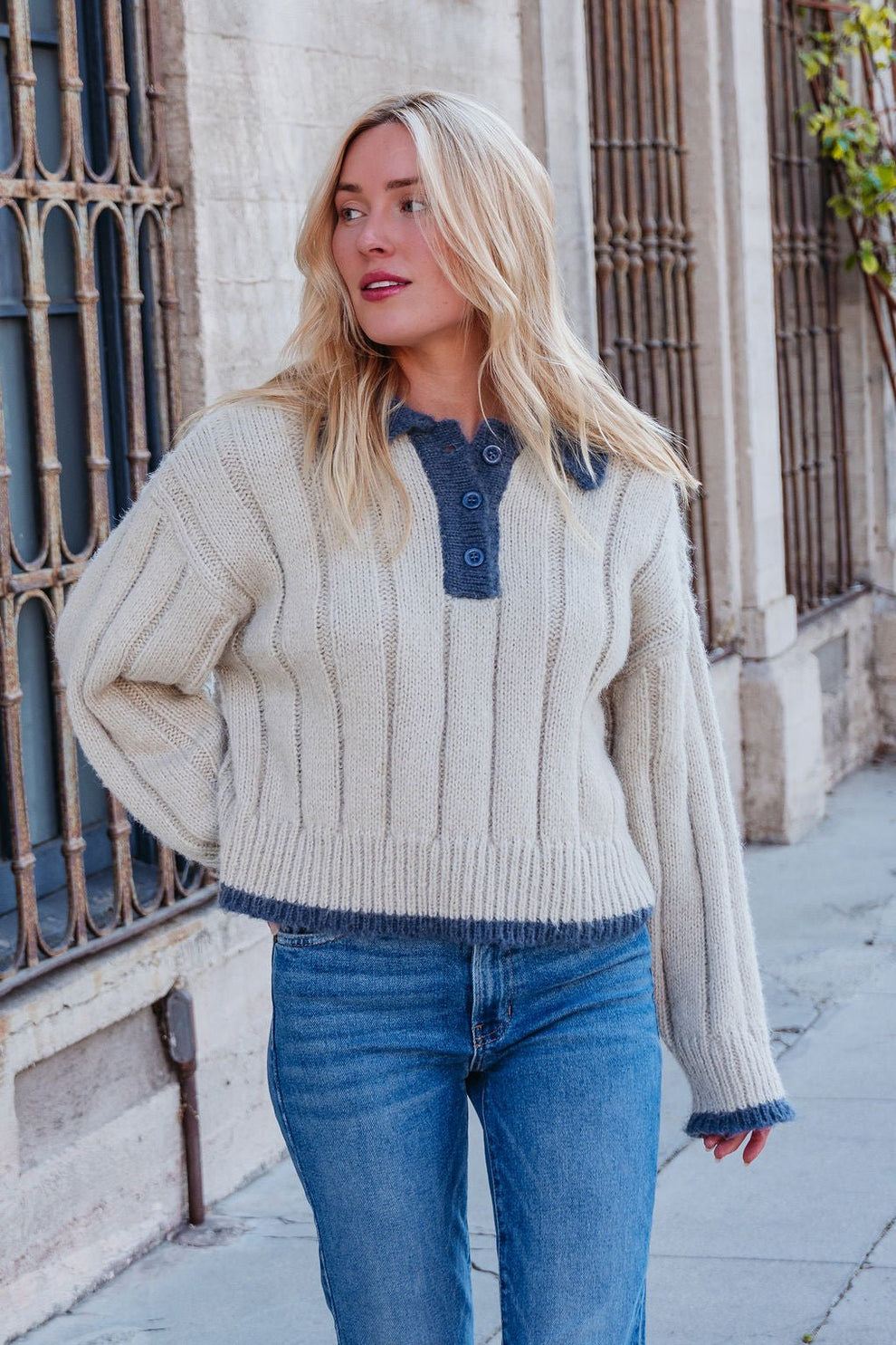Beige & Blue Button Up Sweater - FINAL SALE – Magnolia Boutique